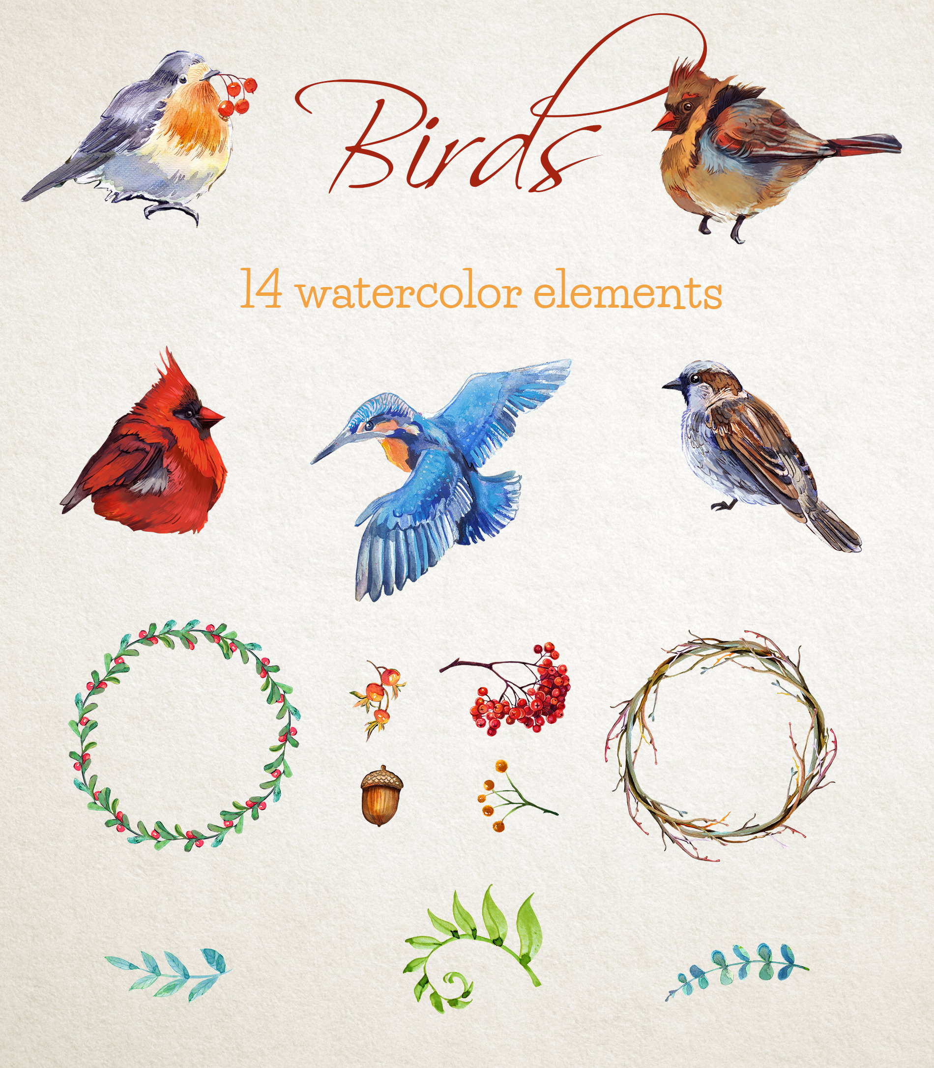 Birds watercolor clipart set | Animal Illustrations ~ Creative Market