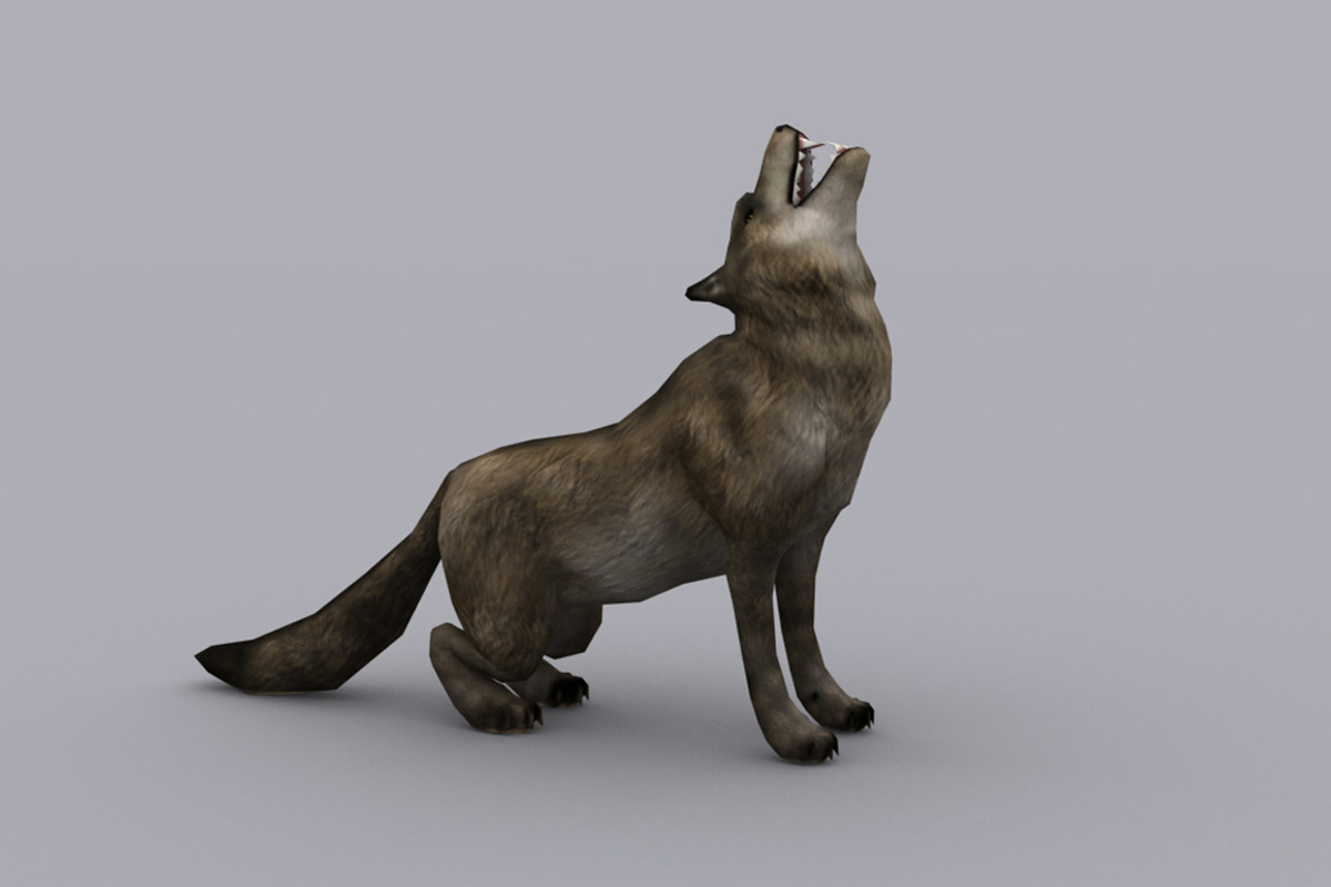 WOLF fbx only, an Animal 3D Model by PROTOFACTOR
