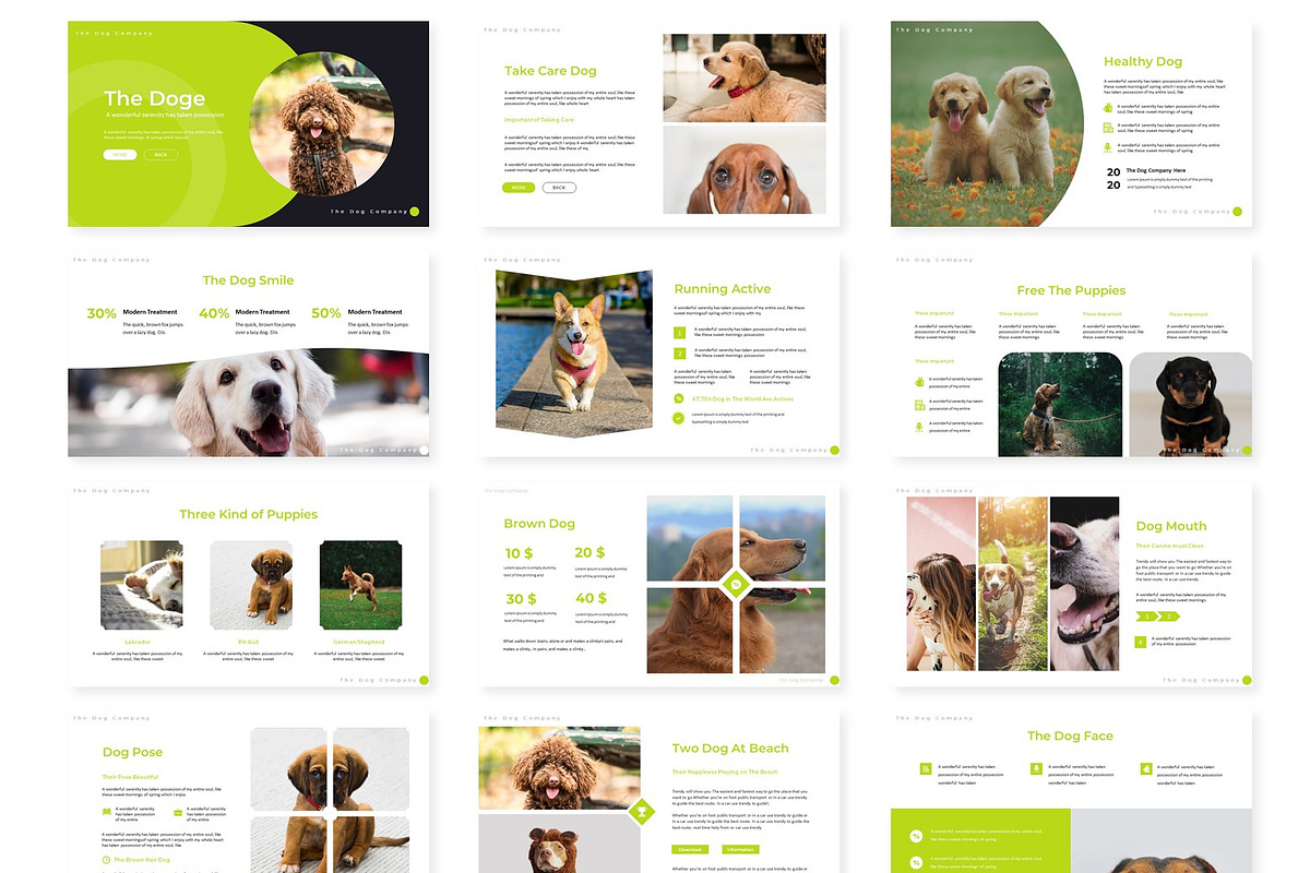 The Doge - Powerpoint Template, a Presentation Template by AQR Studio