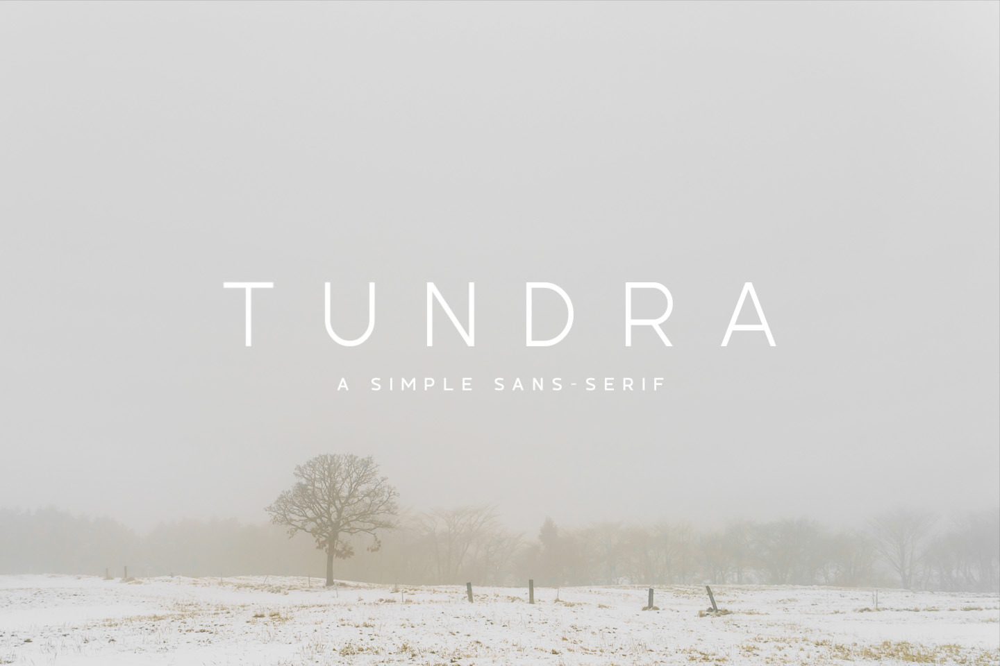 Tundra Typeface, a Sans Serif Font by Tugcu Design Co.