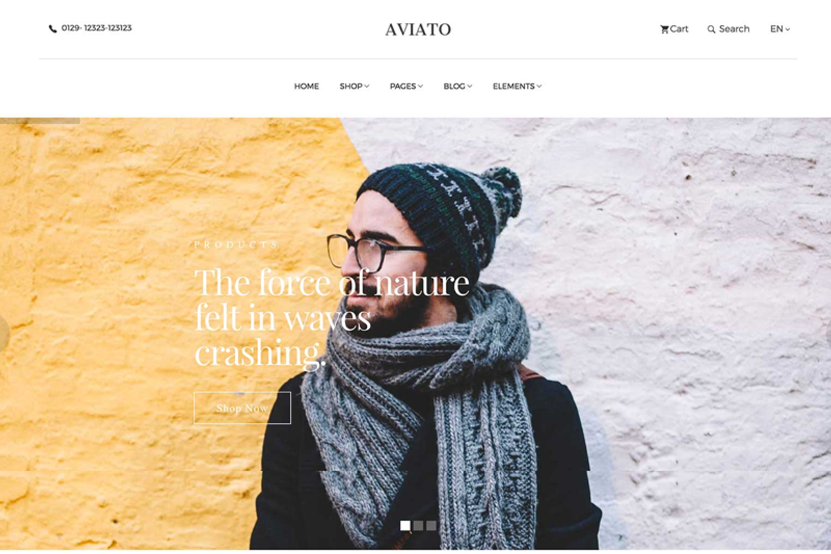 Aviato-Bootstrap E-Commerce Template, a Bootstrap Template by Themefisher
