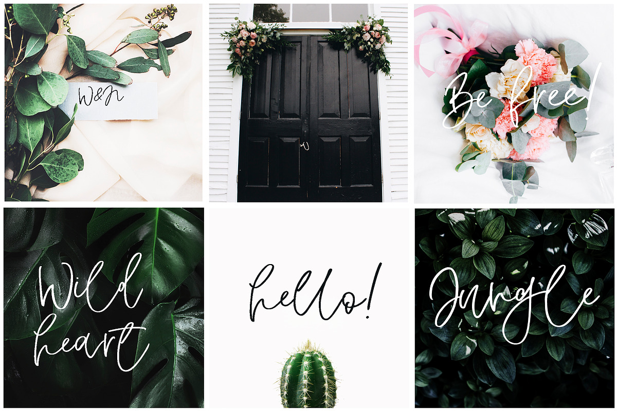 Wisteria Script, a Script Font by Calamar Studio
