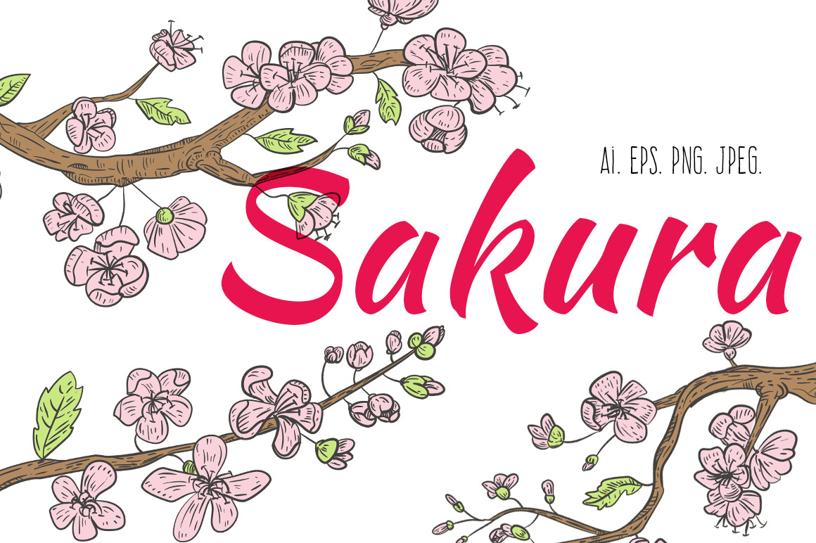 Sakura | Decorative Illustrations ~ Creative Market