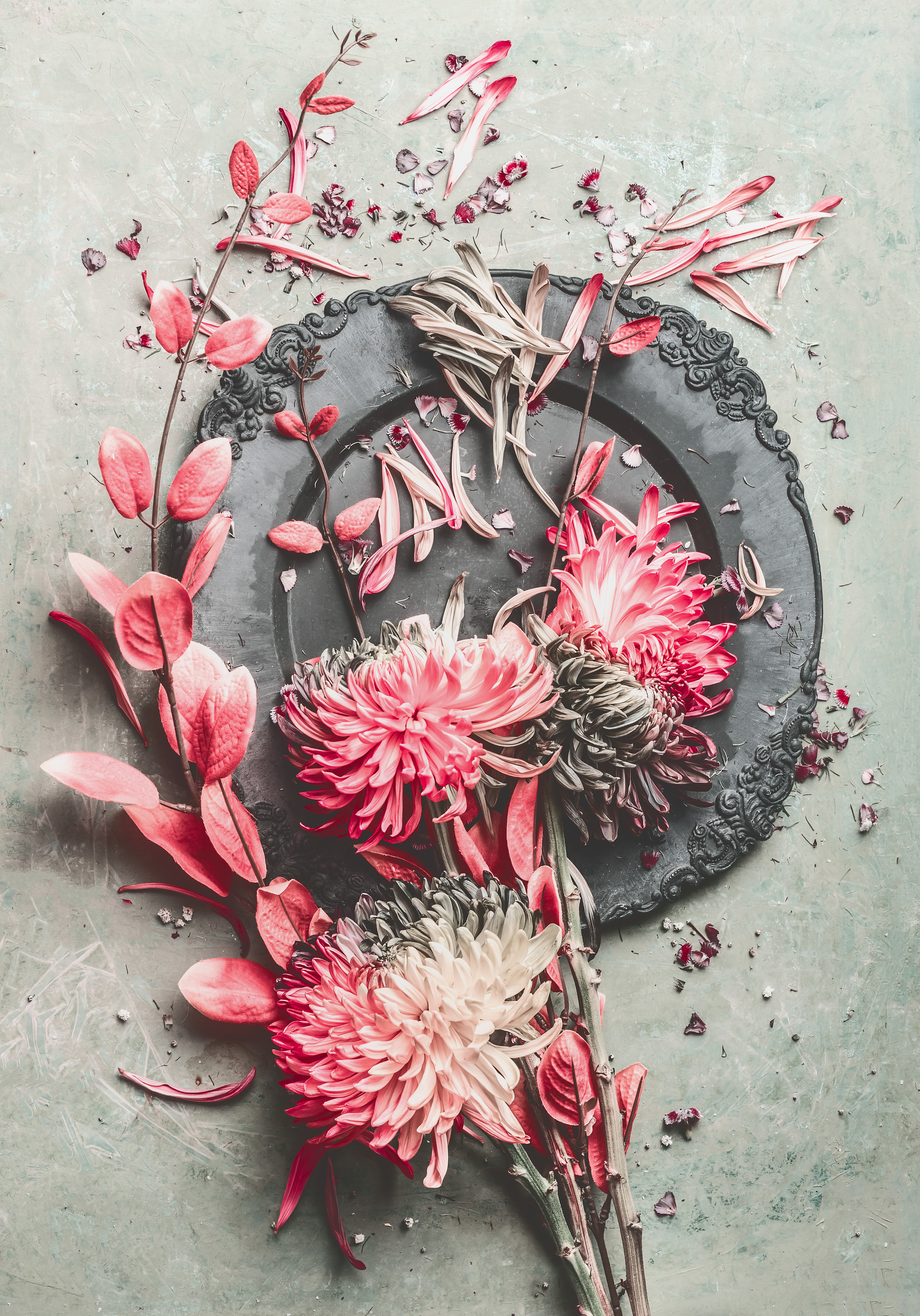 Summer floral still life composition, an Arts & Entertainment Photo by ...