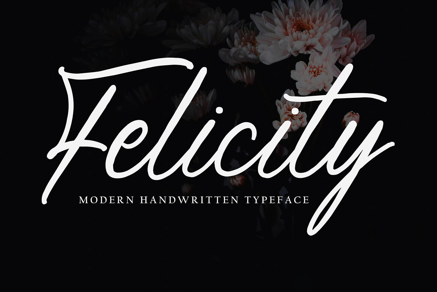 Felicity, a Handwritten Font by pineungtype