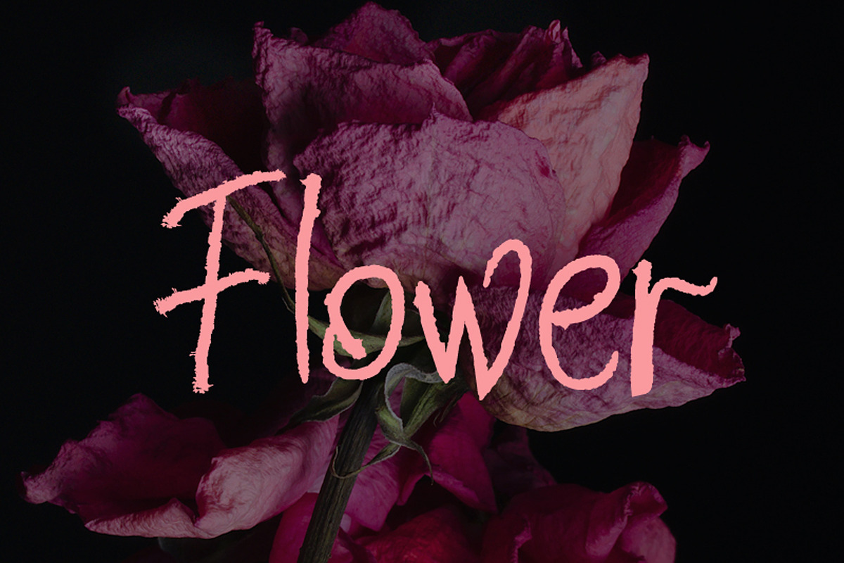 Novita, a Script Font by edcreative