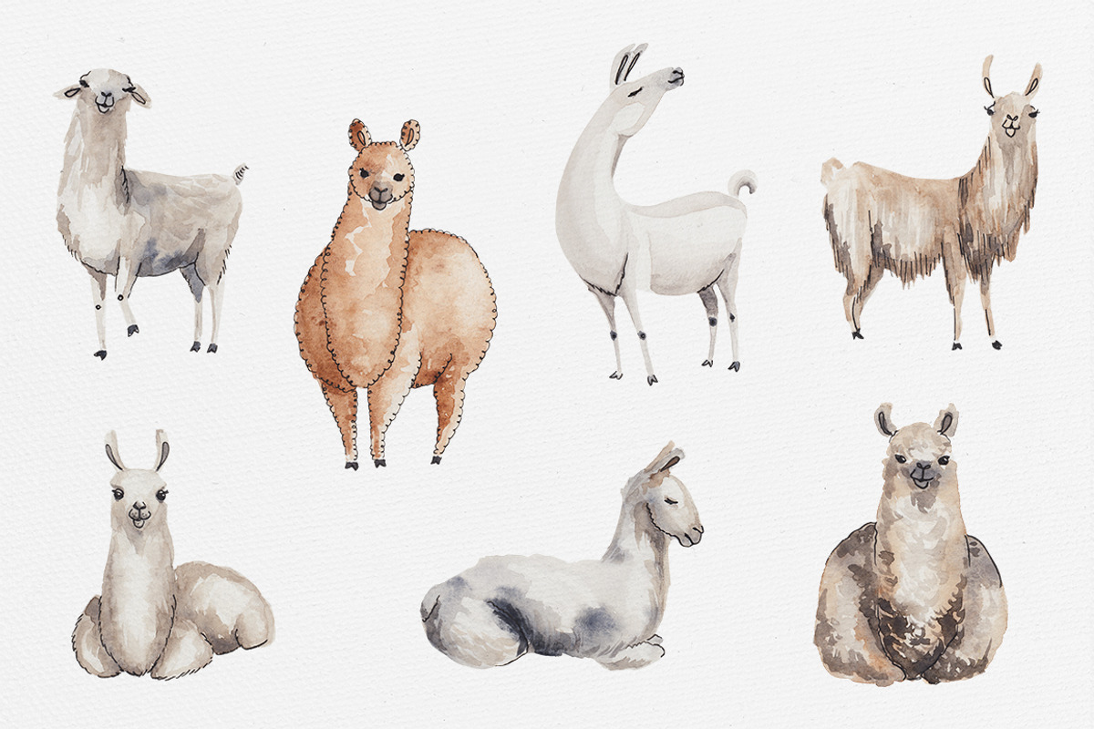 Watercolor Llamas + 2 Patterns, an Animal Illustration by Petite Salade