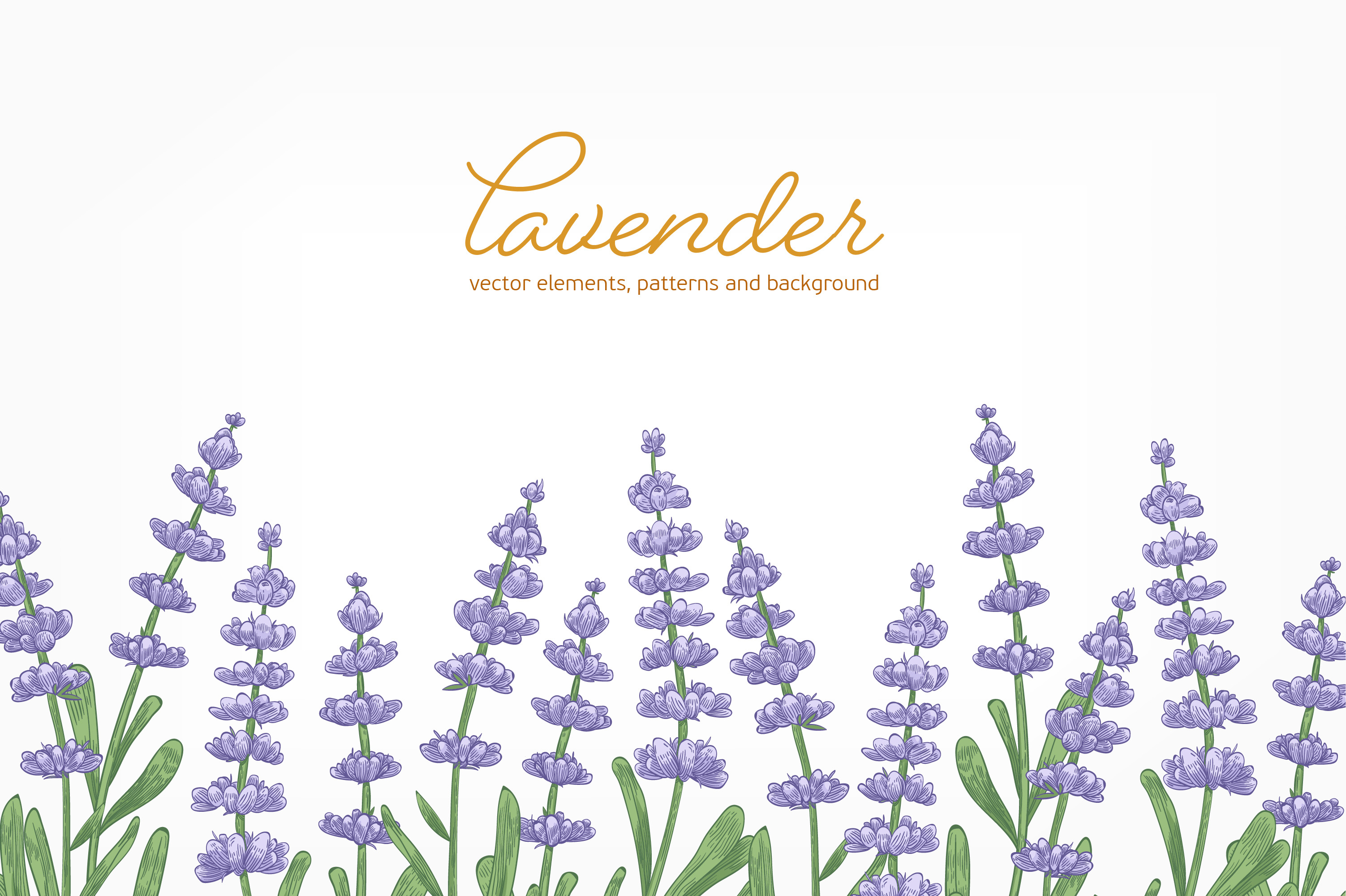 Lavender set and seamless, a Decorative Illustration by Good Studio ...
