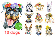 10 watercolor dog portraits 5 | Animal Illustrations ~ Creative Market