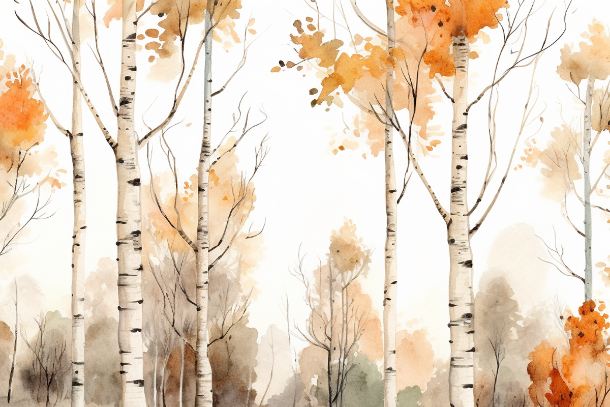 Watercolor Autumn Birch Trees Forest, an Object Graphic by Printable ...