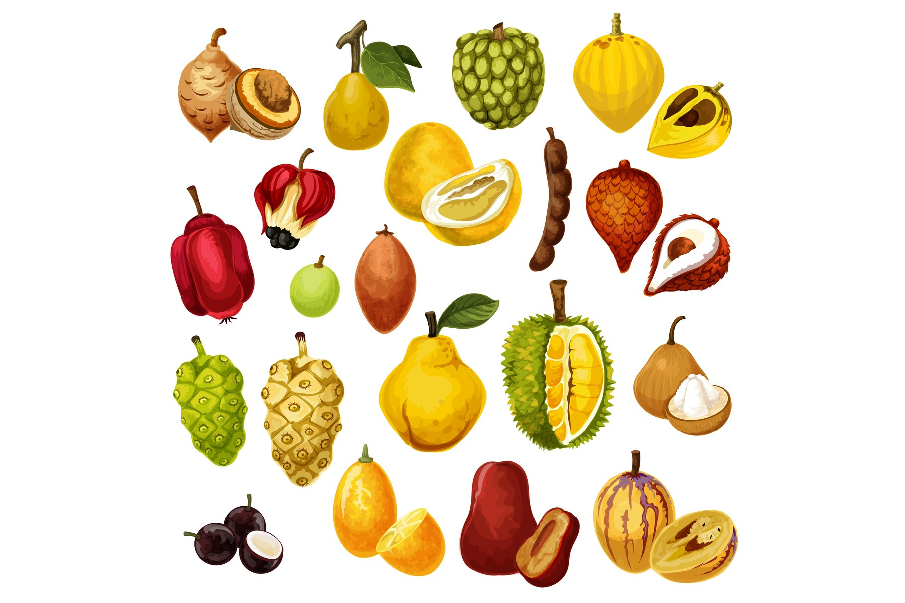 Exotic tropical fruits vector icons, a Food Illustration by Vector ...