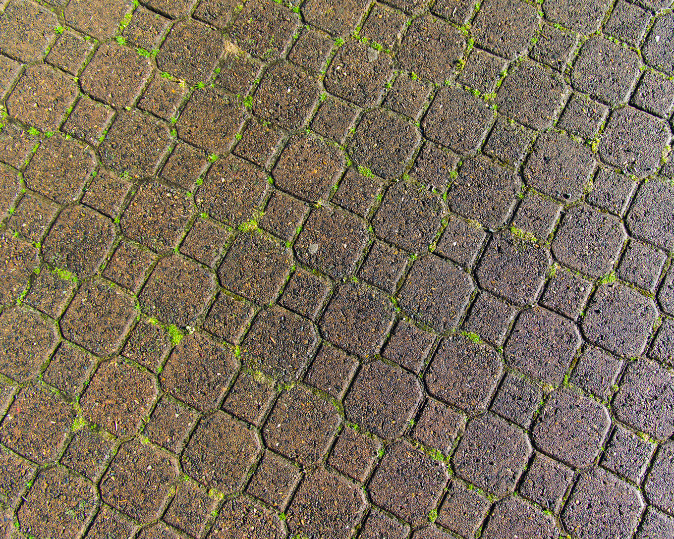 Patterned pathway of paver stones, an Abstract Photo by Zigzag Mountain ...