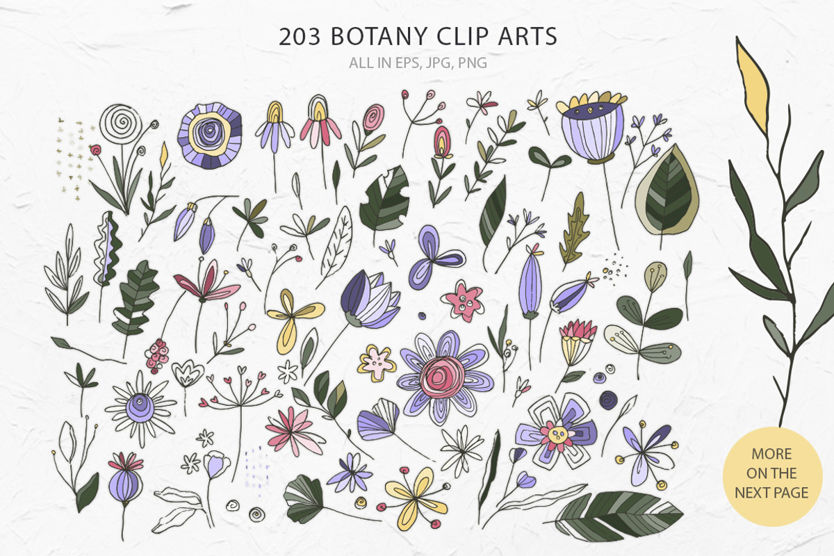 Summer Botany. Floral Graphic Pack., a Decorative Illustration by Red Ink
