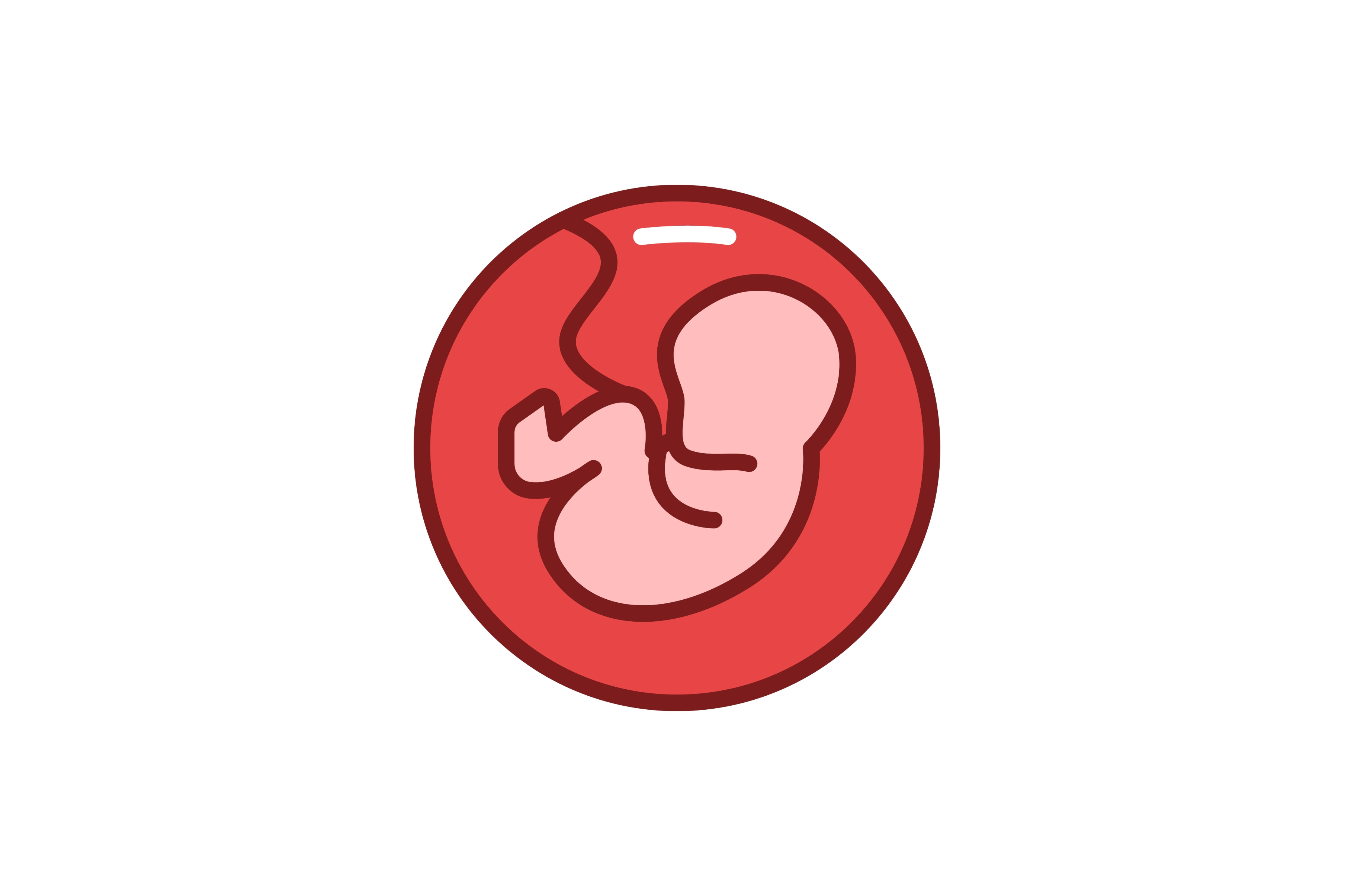 Pregnancy stage embryo in uterus, a Healthcare Illustration by ...