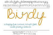Font Birdy Cursive Script Fun Cute, a Script Font by PageLightStudios