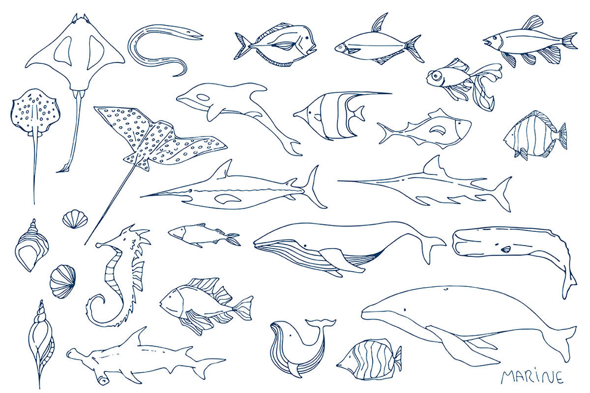 Vector sea creatures, an Object Graphic by CARROTDESIGN