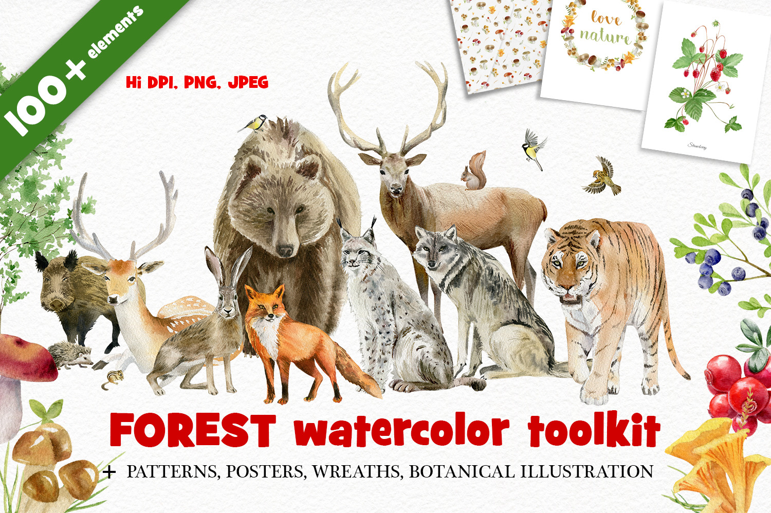 Forest watercolor designer toolkit | Animal Illustrations ~ Creative Market