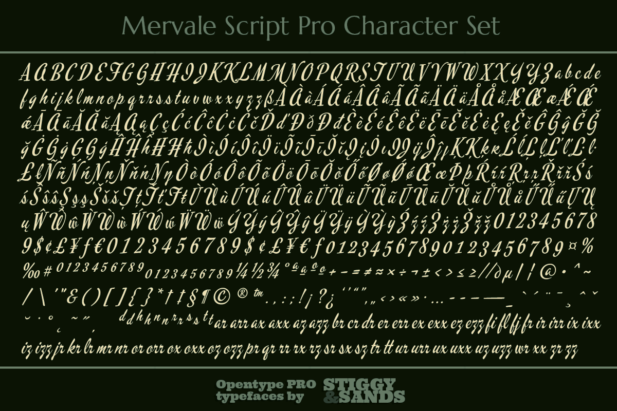 Mervale Script Pro, a Script Font by Stiggy & Sands