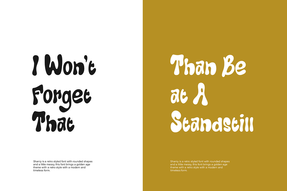 Shaniy Font