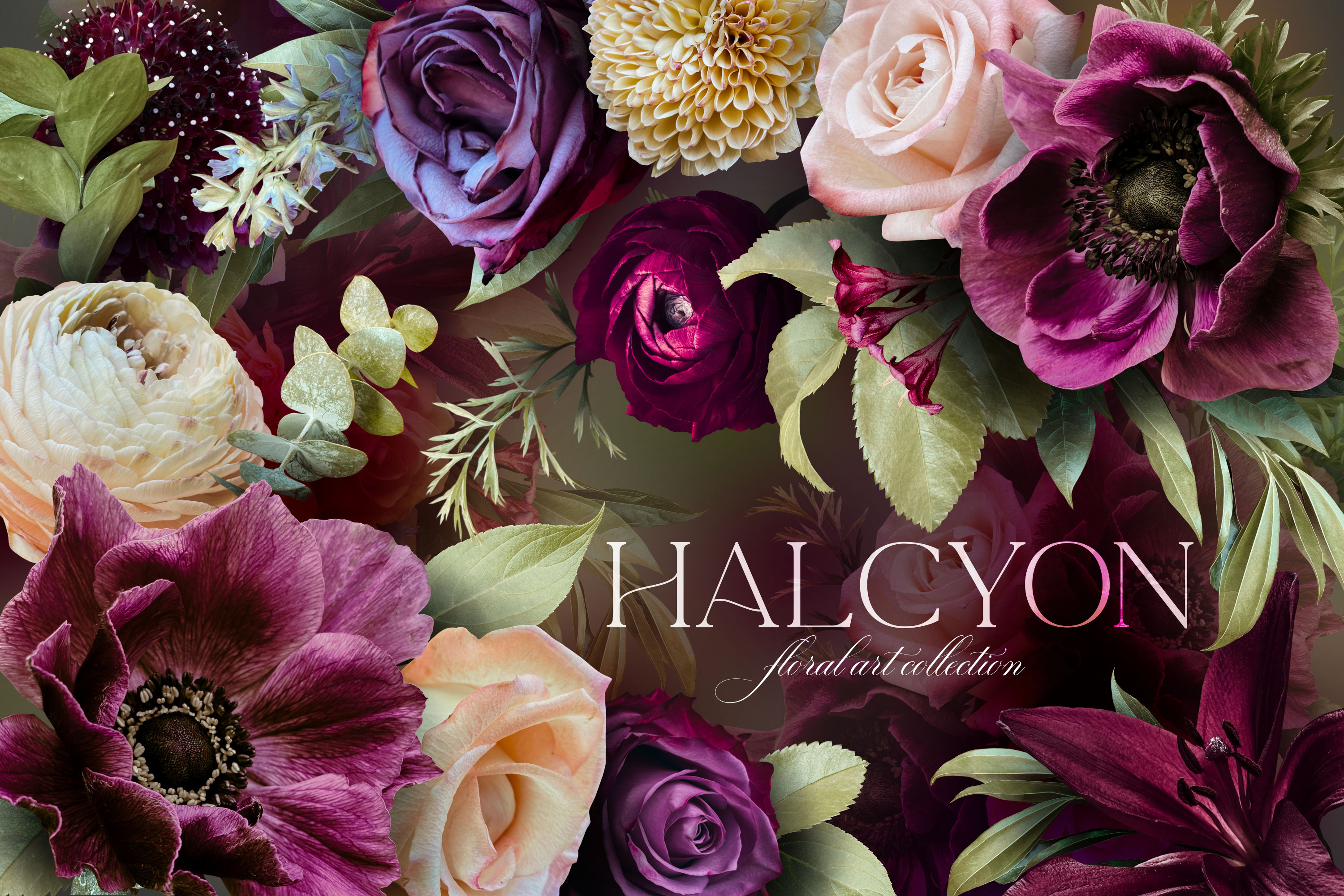 Halcyon Floral Art Collection, an Object Graphic by Eclectic Anthology