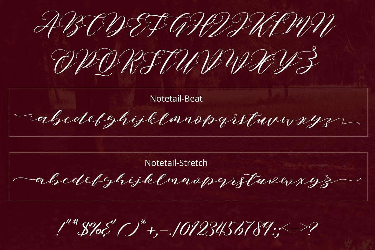 Notetail Script Typeface, a Script Font by alphadesign