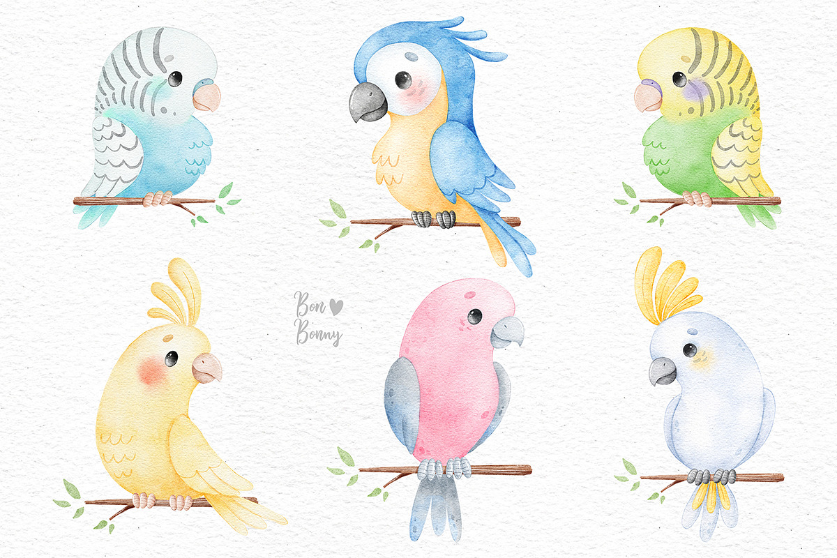 Cute Watercolor Parrots Clipart, an Animal Illustration by BonbonnyDesigns