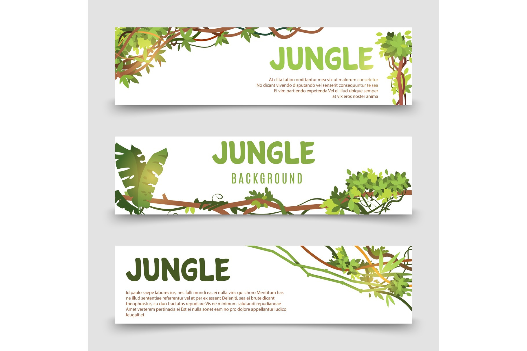 Tropical plants vector banner, a Background Graphic by Valerie Bodnar