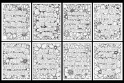 50 Autumn Fall Quotes Coloring Pages, an Illustration by protabsorkar11