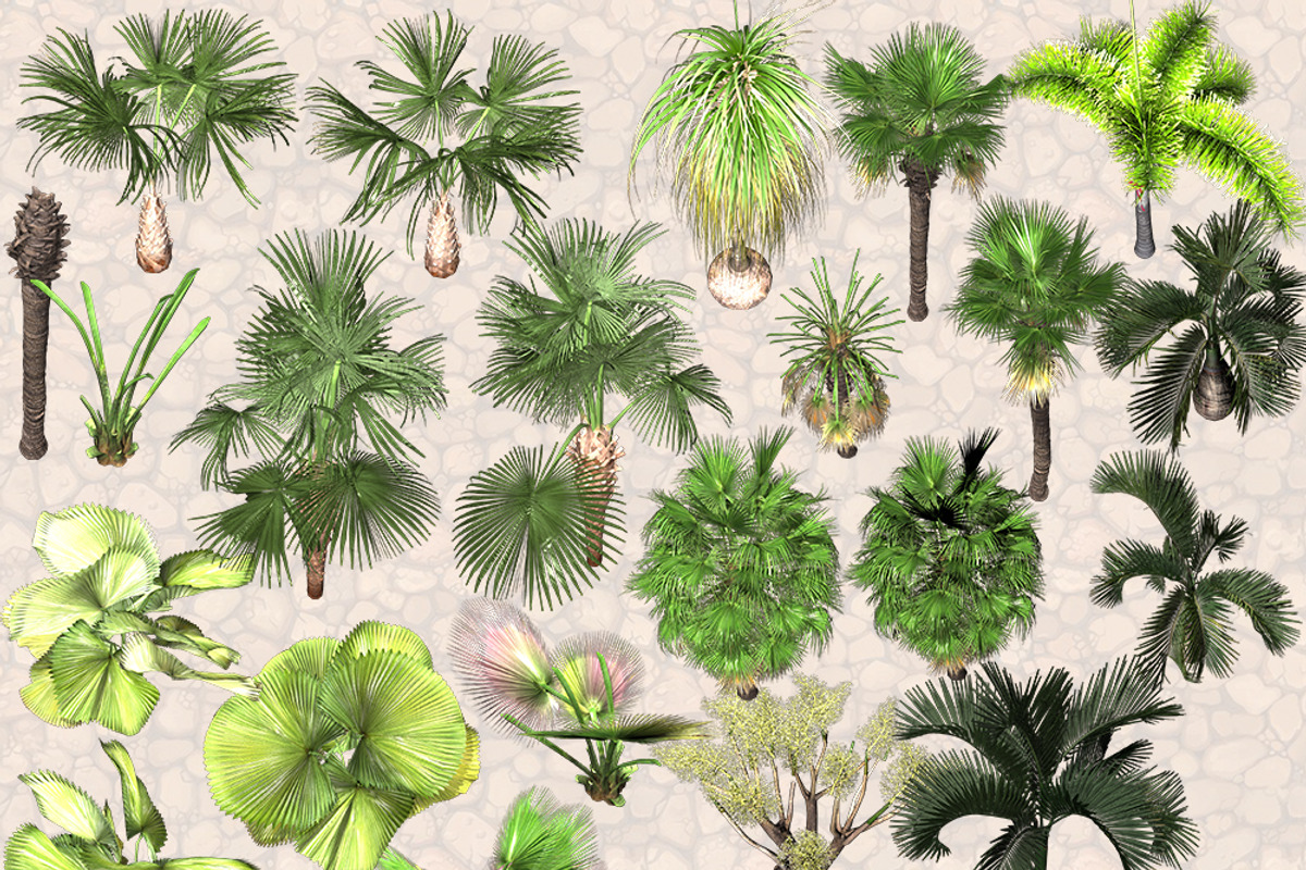 NATURE OBJECTS, an Object Graphic by Beatheart Creative Studio