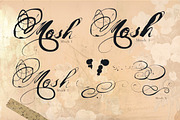 Mosh 35% OFF, a Script Font by Misprinted Type