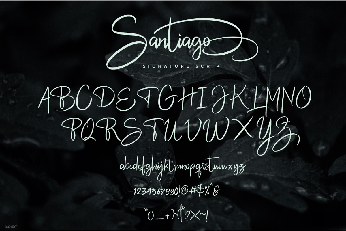 Santiago Signature Script, a Script Font by Debut Studio