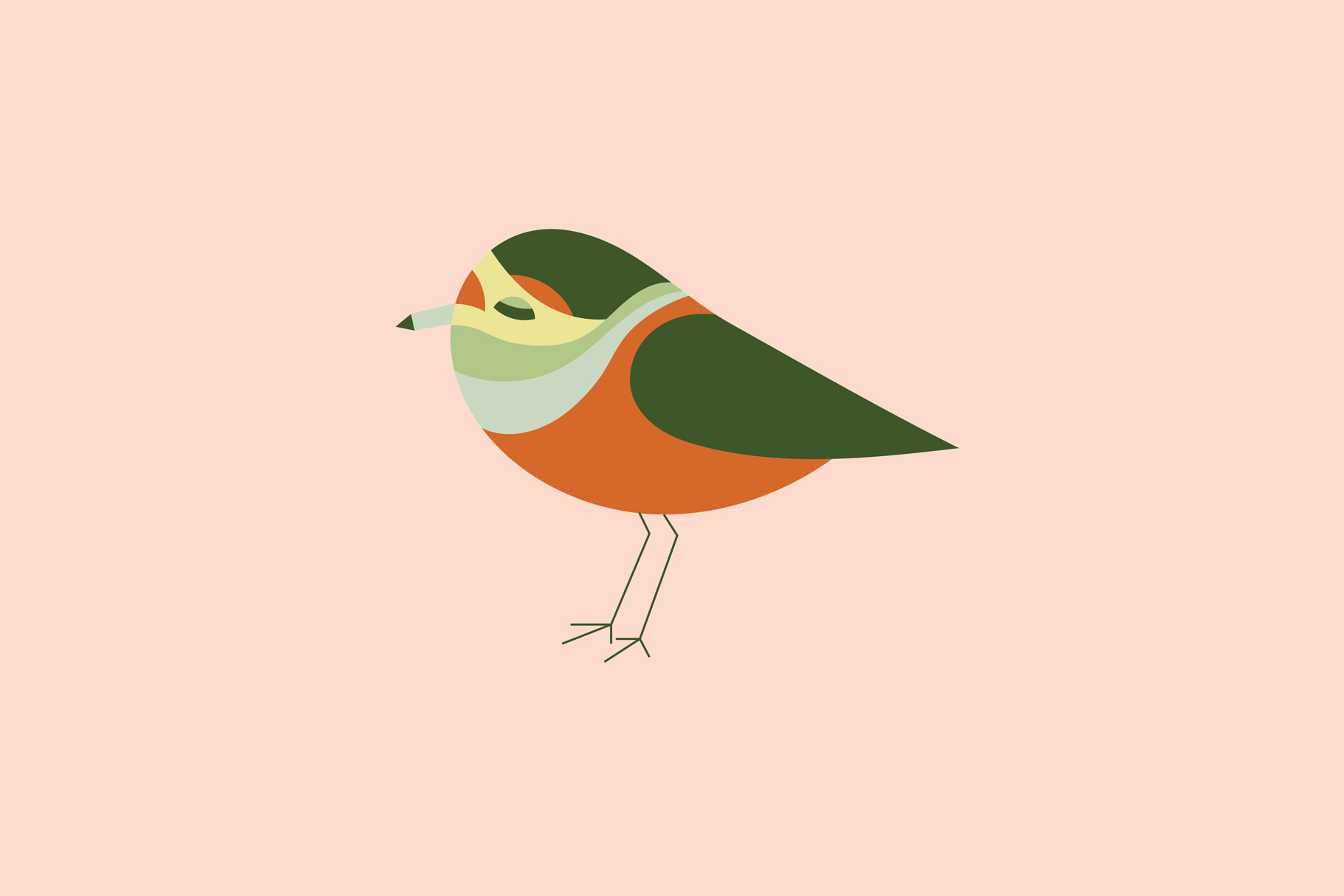 Common-Ringed Plover, an Illustration by Goodputty | Creative Market