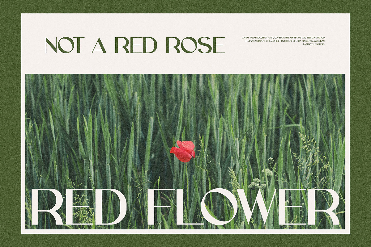 Grace Elegant Sans Serif Font, a Sans Serif Font by Perfectype