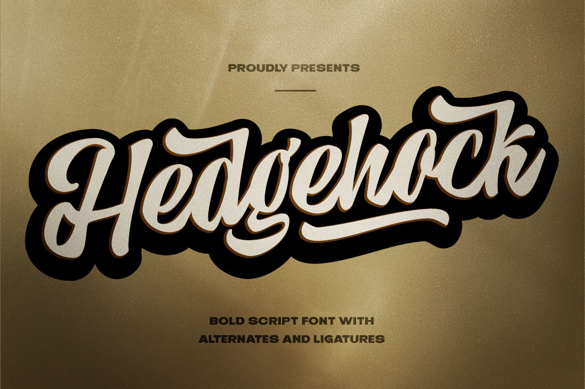 Hedgehock - Bold Script Logotype, a Sans Serif Font by Dirtyline Studio