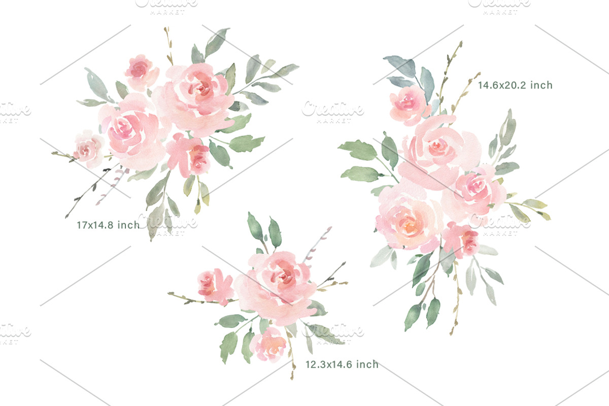 Pink Blush Watercolor Flowers Roses, a Decorative Illustration by ...