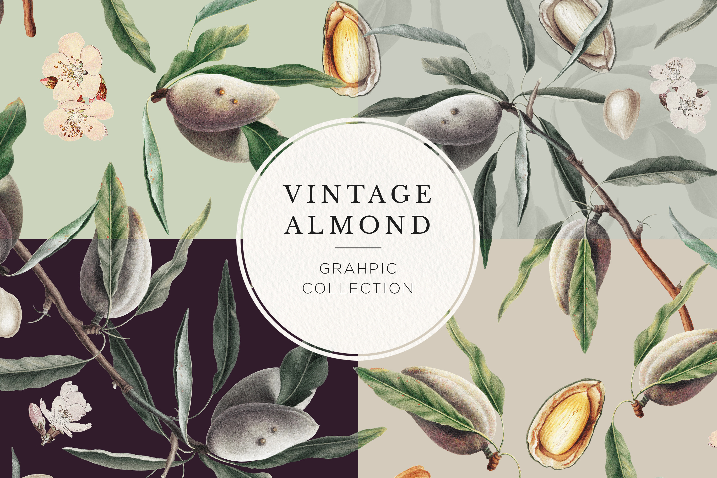 Vintage Almond Patterns & Elements, a Pattern Graphic by Olga Begak Art ...