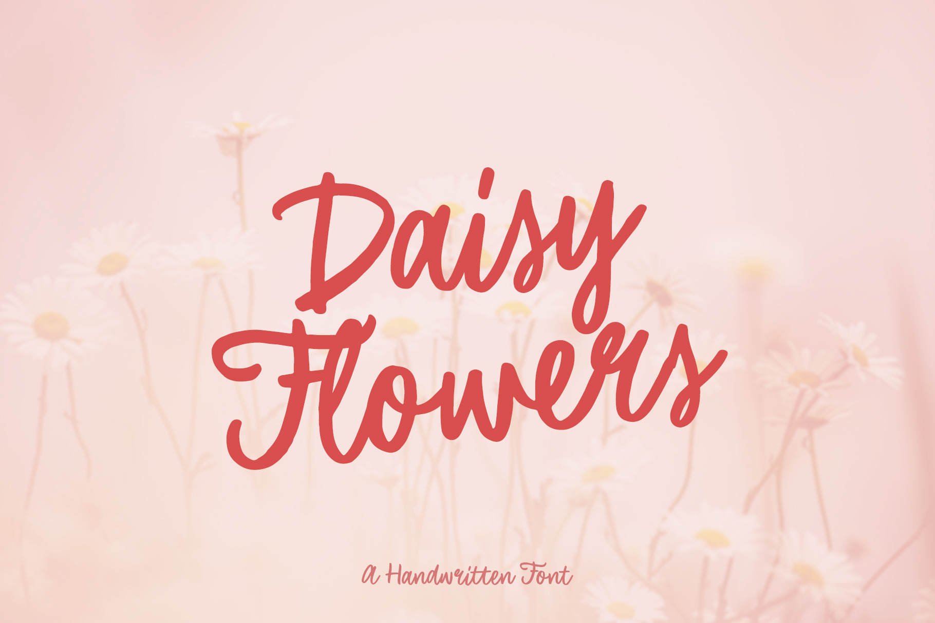 Daisy Flowers handwritten font, a Handwritten Font by supfonts