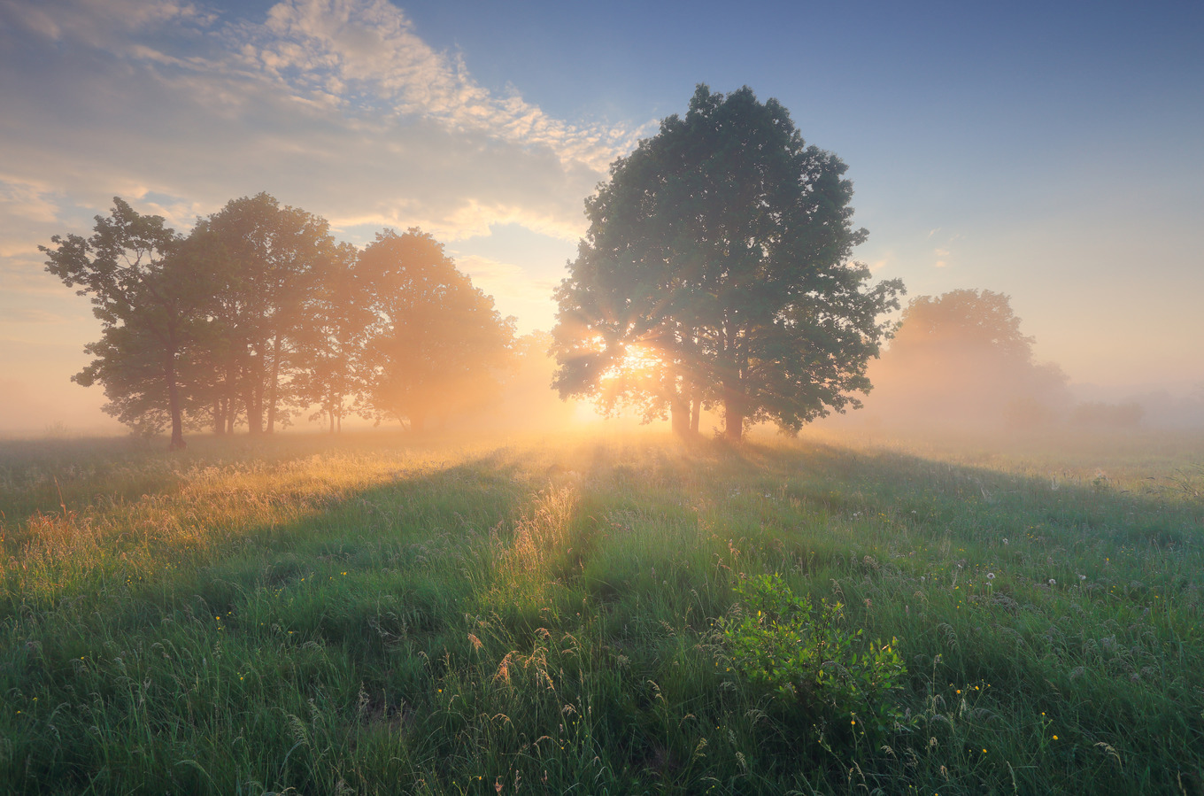 Morning sun rays, a Nature Photo by PixieMe