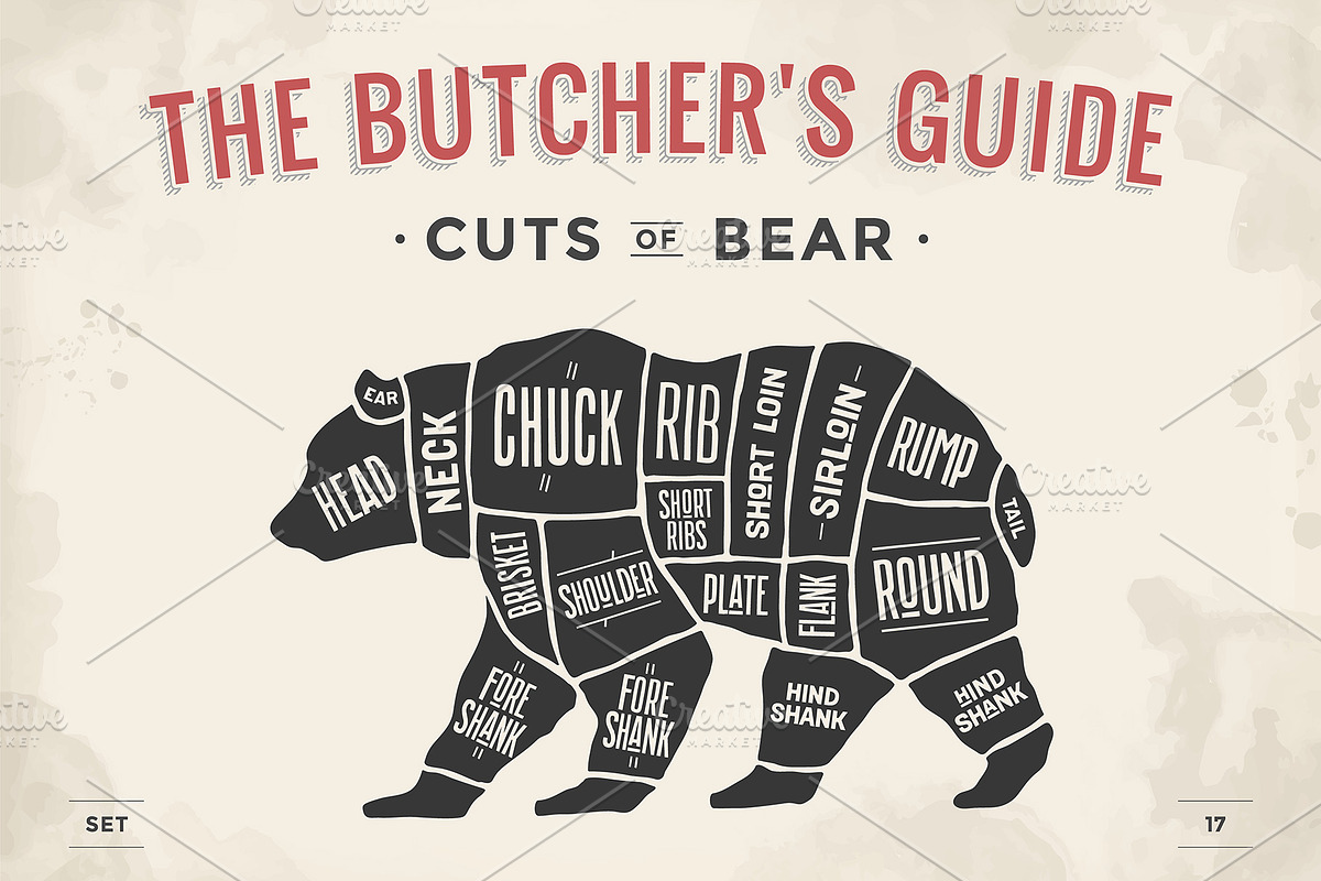 Butcher diagram, scheme - Bear, an Animal Illustration by Foxys Graphic