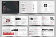Business White Paper Landscape