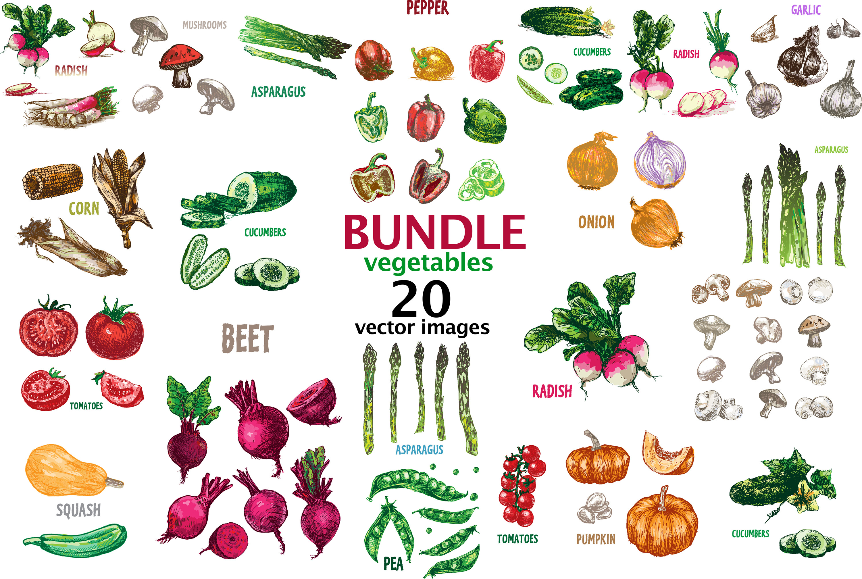 100 vectors fruits & vegetables set, a Decorative Illustration by ...