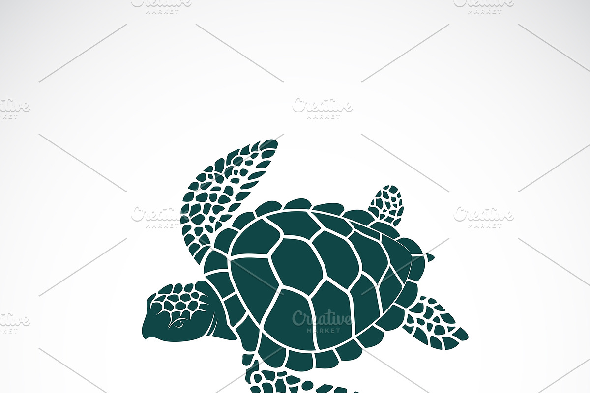 Vector of turtle design. Wild Animal, an Icon by yod67