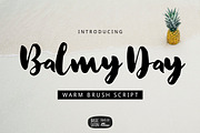 Balmy Day Brush Font, a Script Font by YandiDesigns