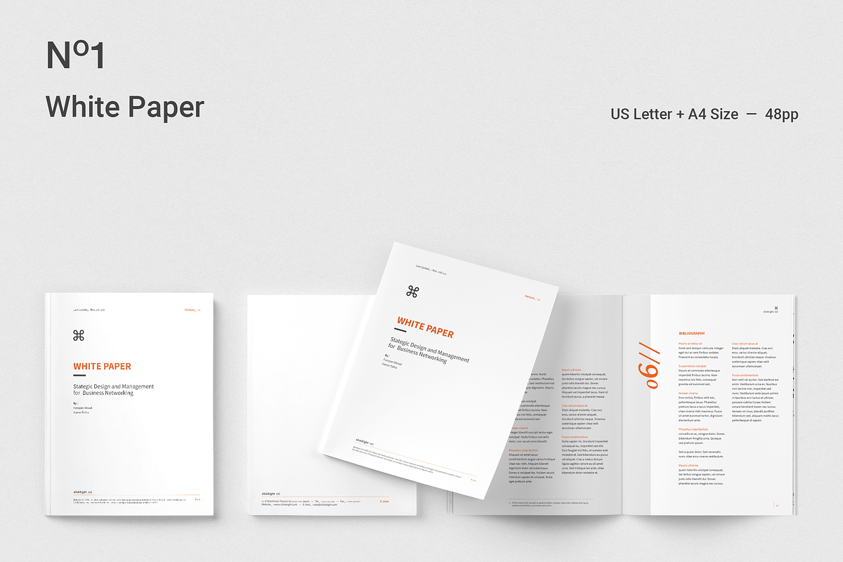 White Paper, a Brochure Template by silukEight