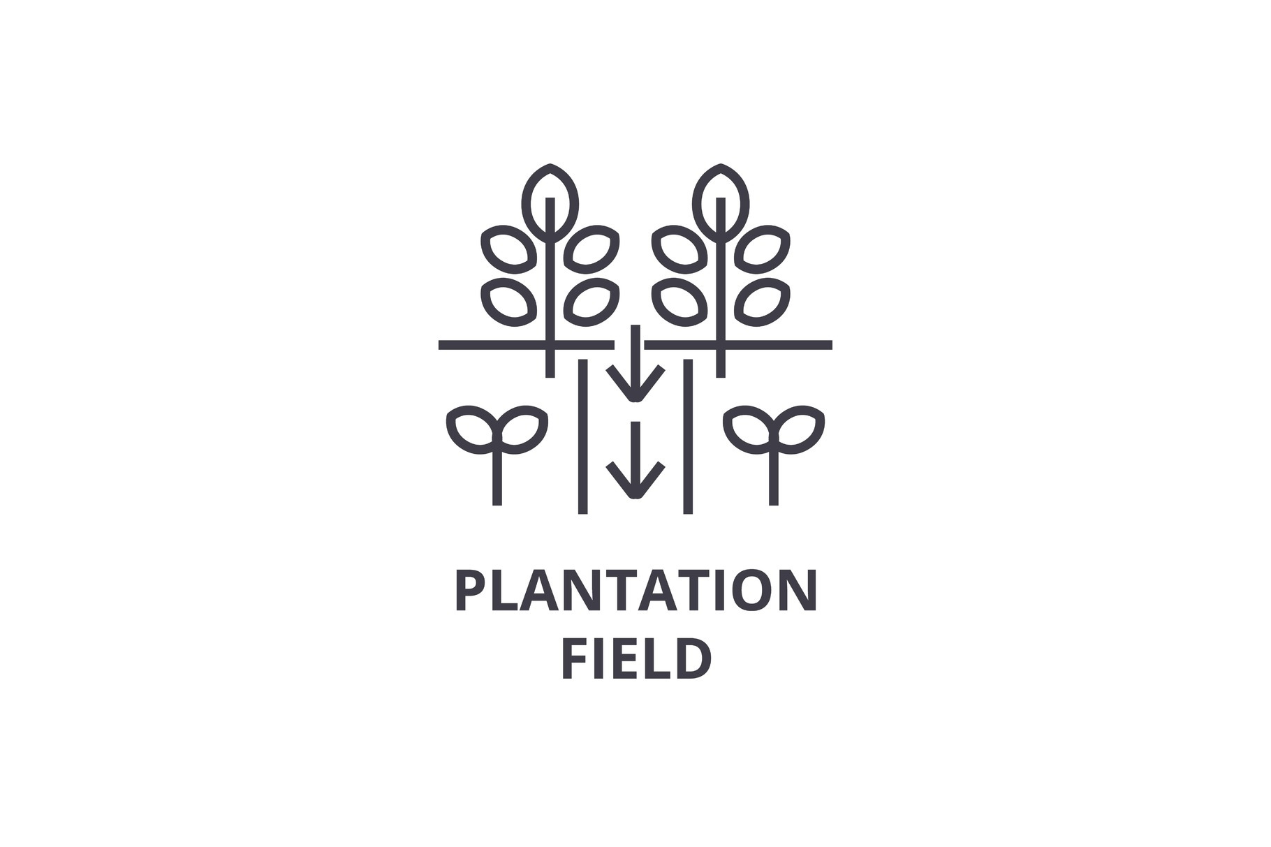 plantation field line icon, outline sign, linear symbol, vector, flat ...