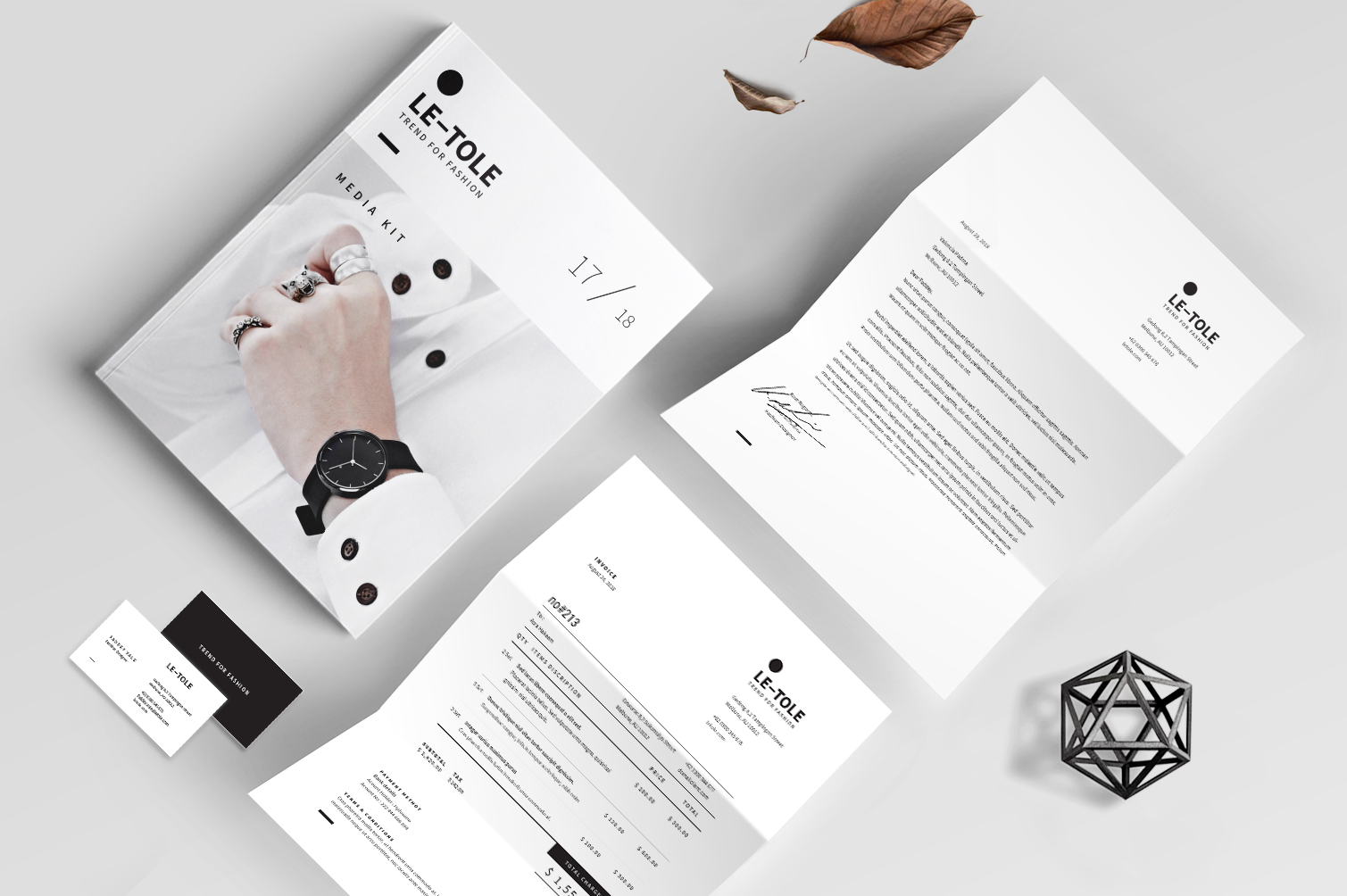 Magazine Media Kit and Identity, a Brochure Template by BOXKAYU ...