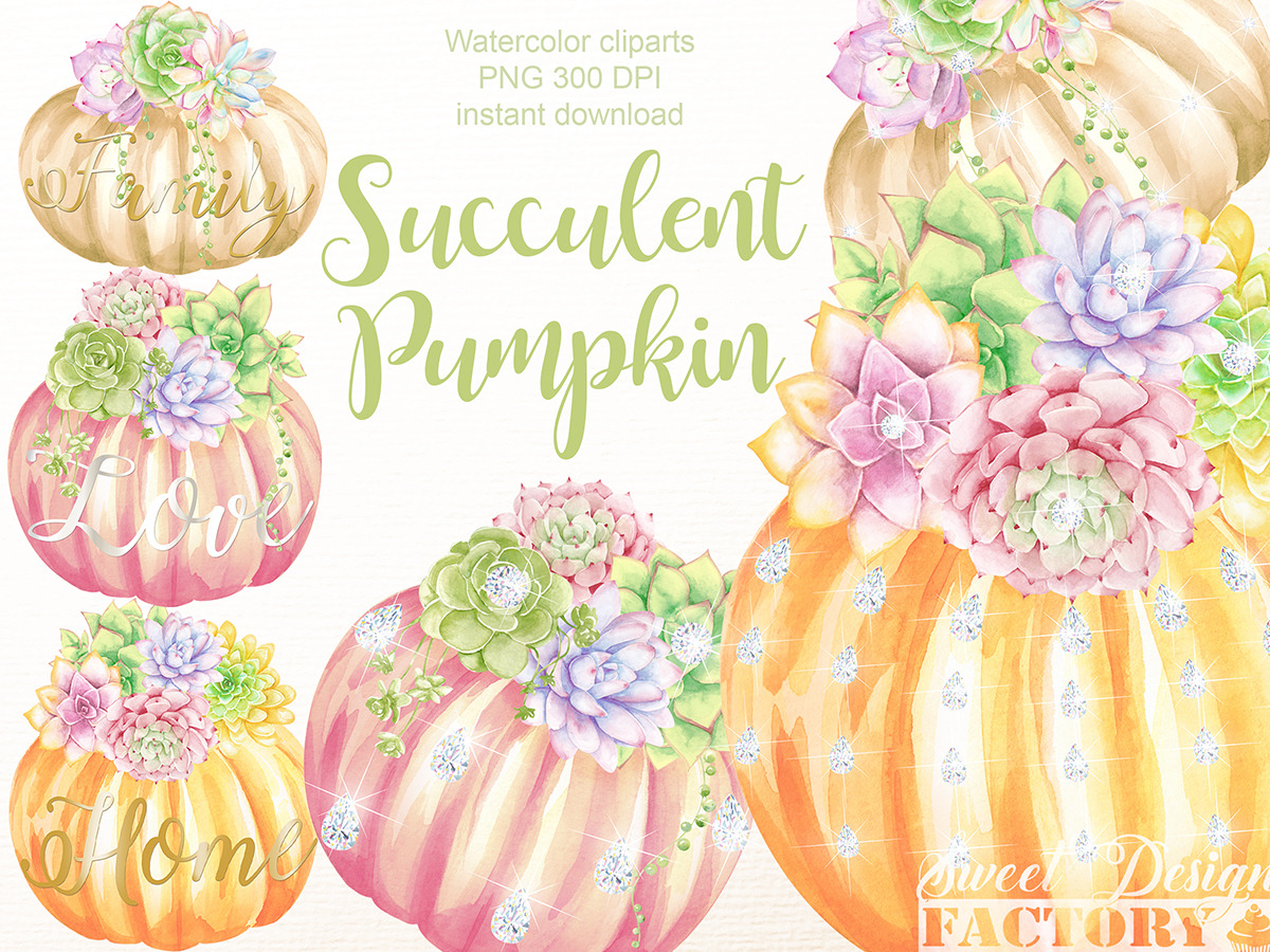 Pumpkins and succulents cliparts, an Illustration by Sweet sweet design
