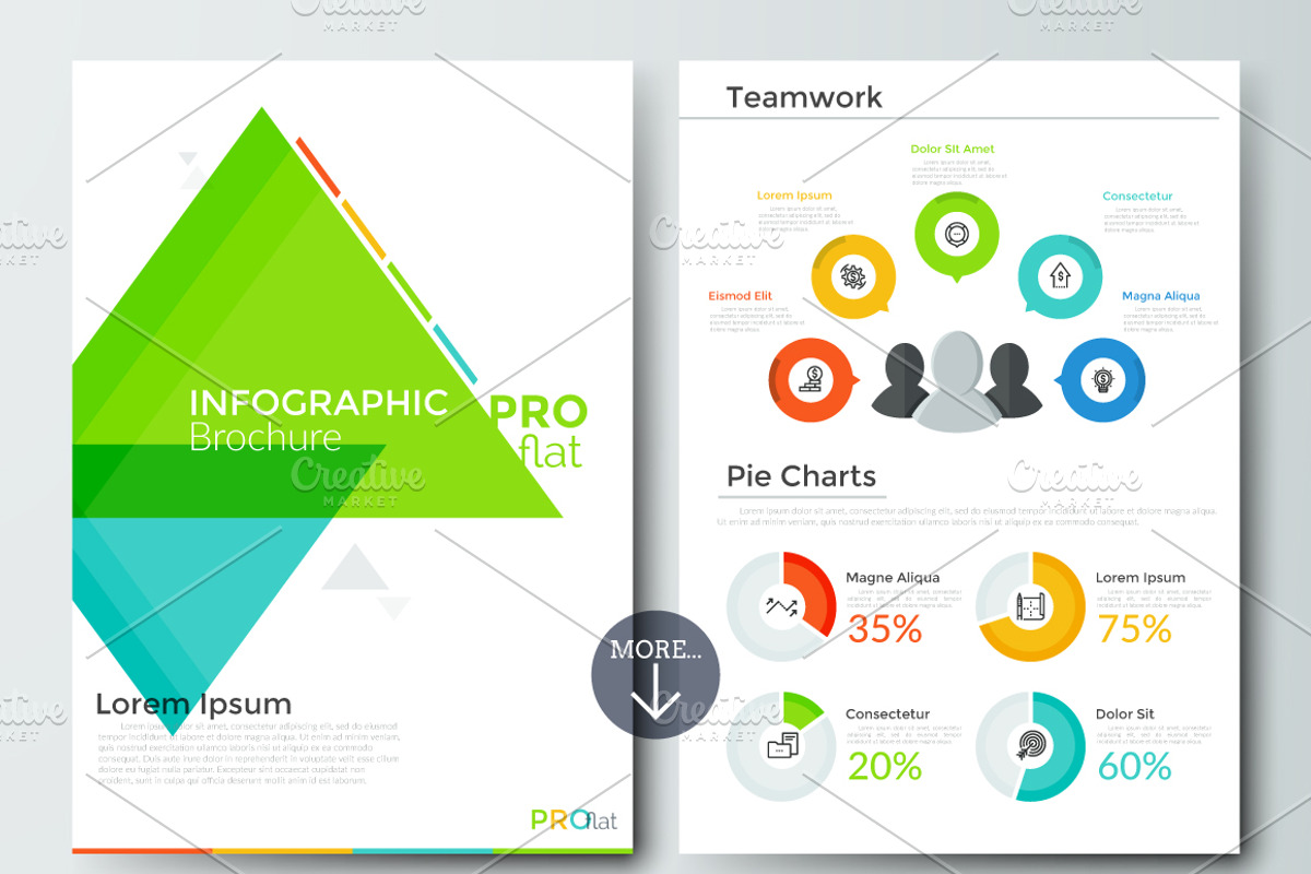 Pro Flat Infographic Brochure 10, a Presentation Template by Andrew ...