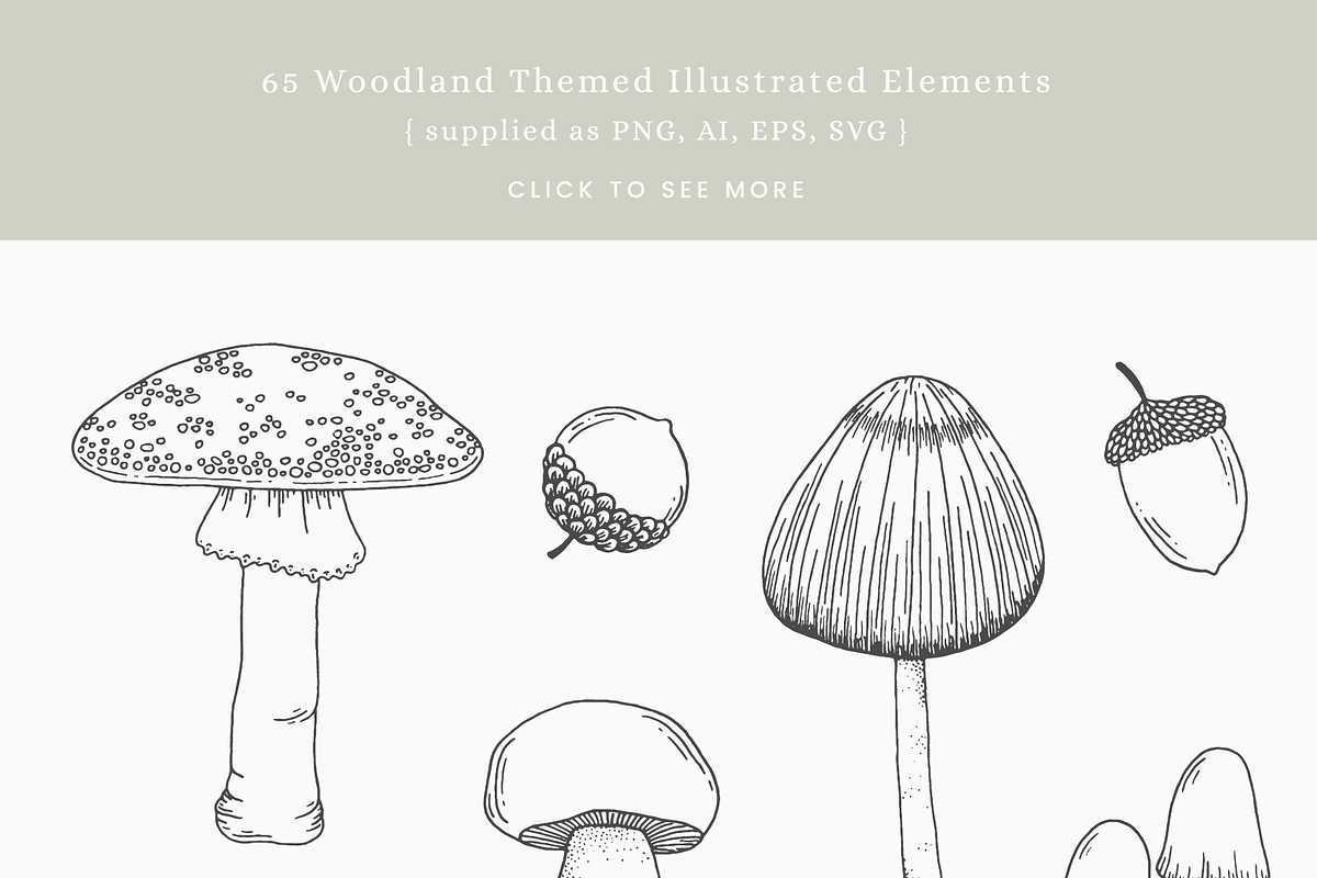 Woodland Walk Vectors, an Illustration by Emma Webb Studio