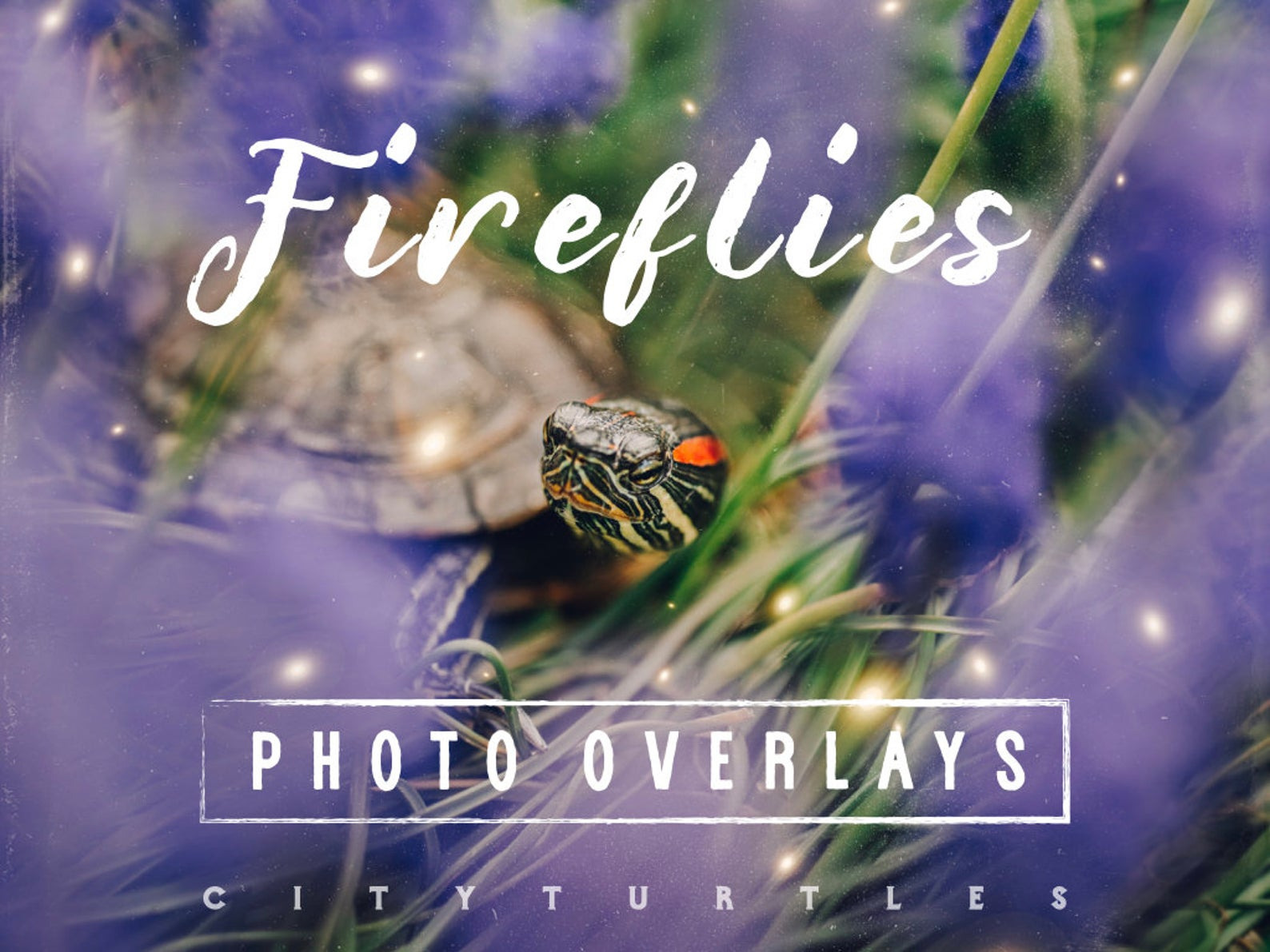 30 Dreamy Firefly Photo Overlays, a Layer Style Add-On by CityTurtles